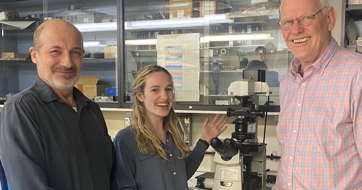 MBL, UChicago Scientists Roll Out New Tool for Viewing 3D Images | PhD ...